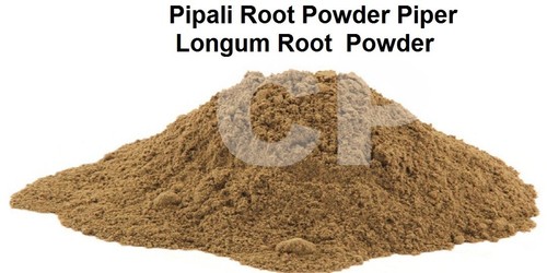 Pipali Root Powder Piper Longum Root Pippali mool Powder 50gm (1.7 OZ ...