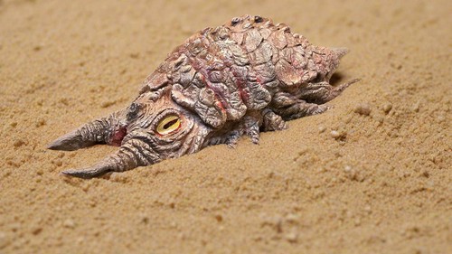 SD STUDIOS Star Trek II The Wrath of Khan Ceti Alpha V Eel Prop Replica ...