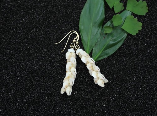 100% Authentic Niihau Pikake Earrings 1.5" Shell Length 14K Gold French ...