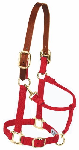Weaver Leather Original Adj Breakaway Nylon Horse Halter Medium Red 35-6025-RD | eBay