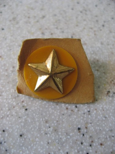 Vintage 60's BSA Brass Boy Scouts of America Star Service Pin Yellow ...