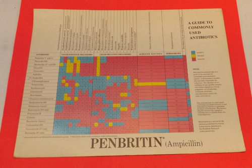 May 1966 PENBRITIN (Ampicillin) Ayerst Laboratories Beecham Research ...