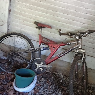 Mongoose Mountain Bike Red Bikes for sale | eBay