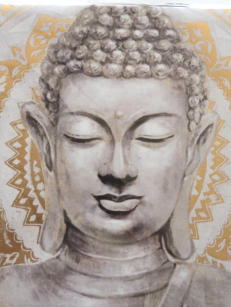 Tara Buda's Instagram, Twitter & Facebook on IDCrawl