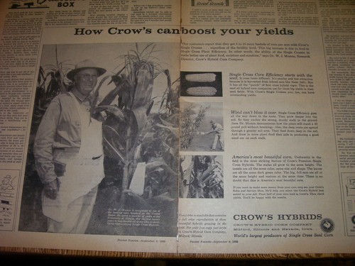 VINTAGE SEED CORN ADVERTISING -10" x 14" -CROWS SINGLE CROSS SEED CORN ...