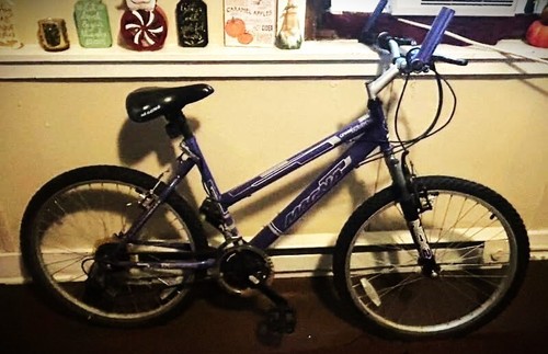 Purple Magna Mountain Bicycle | eBay