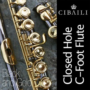 studentinstruments | eBay Stores