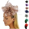 Spring Race Carnival Melbourne Cup Feather Fascinator Headband Clip ...