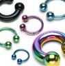 PAIR Anodized Surgical Steel Spiked Horseshoe Circular Barbell Ear ...