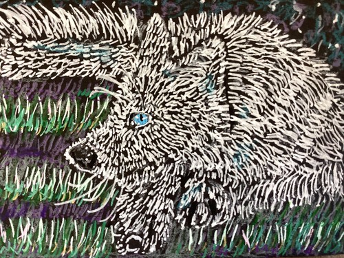 white wolf Posca marker original painting ACEO | eBay