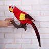 Fake Artificial Parrot Feathered Bird Garden Home Decor Taxidermy ...