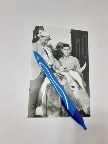 THE ANDY GRIFFITH SHOW, ANDY GRIFFITH & HAL SMITH, ANDY & OTIS, B&W 4X6 ...