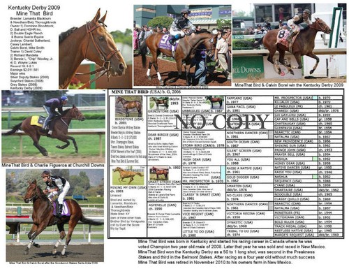 Kentucky Derby MINE THAT BIRD picture pedigree Calvin Borel Chantal ...
