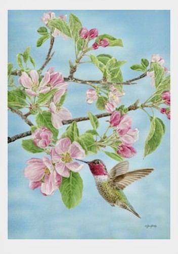 HUMMINGBIRD FLORAL DOGWOOD TREE FLOWER BIRD MINI WINDOW GARDEN YARD ...