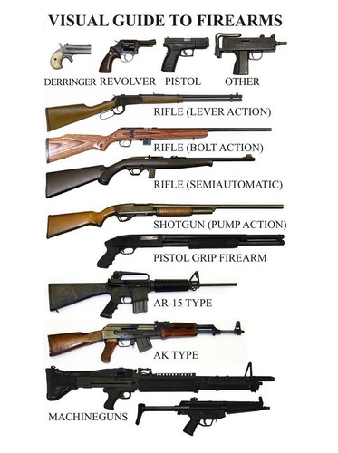 FIREARM GUN IDENTIFICATION CHART GLOSSY POSTER PICTURE BANNER PRINT ...