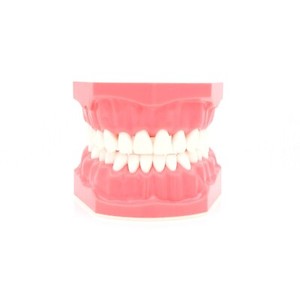 Dent-inus | eBay Stores