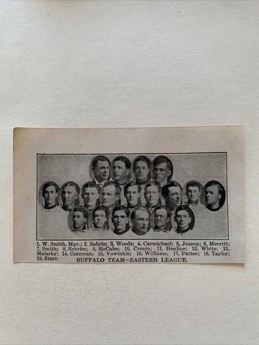Buffalo Bisons Luther Taylor Rip Williams 1910 Baseball Team Picture | eBay