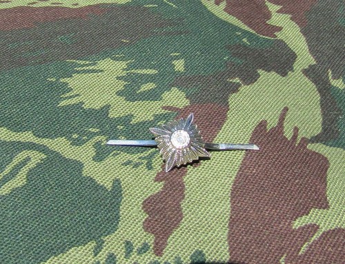 German WW2 Elite Unit Collar Tab Rank Pips Antique Silver Finish | eBay