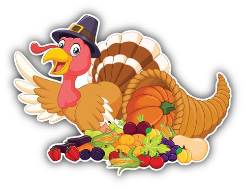 Cute Turkey Animal Car Bumper Sticker Decal - ''SIZES'' | eBay