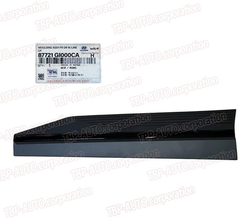 GENUINE ® FRONT Door Molding Trim LEFT For 22-24 Hyundai Ioniq 5 ...