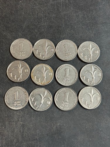 12 Israeli 1 New Shekel Coins, 12 x 1 ILS Israel Uncommon Vintage Coins ...