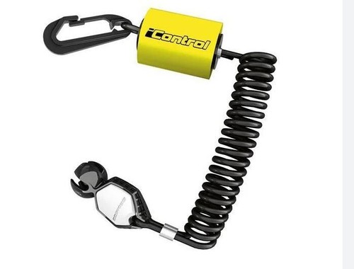 New Genuine OEM Sea-Doo Programmable DESS Key - 278003400 | eBay