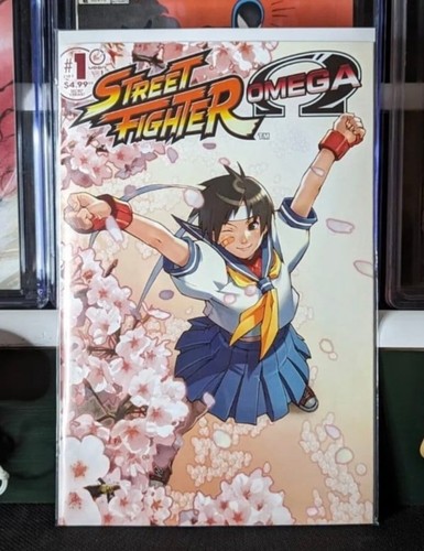 Street Fighter Omega #1 Secret One Per Store Retailer Thank You Variant ...