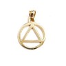 NA Narcotics Anonymous Symbol , Fairy Pendant, #823, 14k Gold | eBay