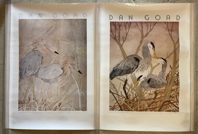 Dan Goad for sale | eBay