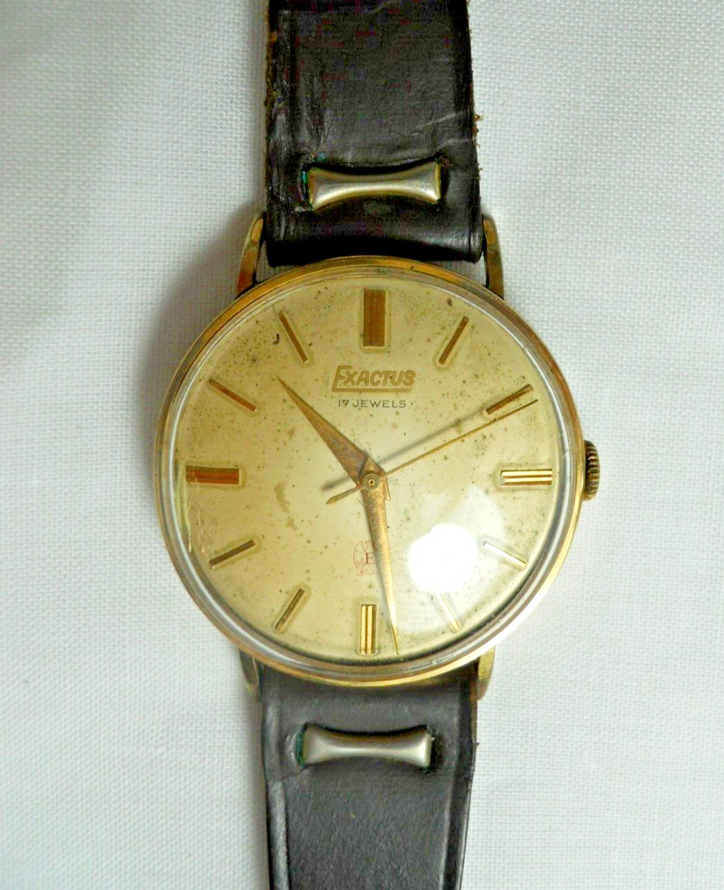 Las mejores ofertas en Relojes de pulsera Exactus | eBay