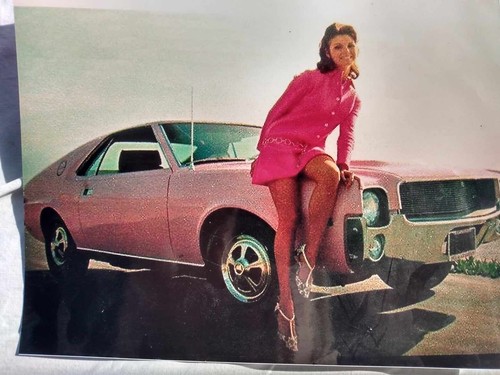 AMC Playboy Playmate pink AMX Angela Dorian photo | eBay