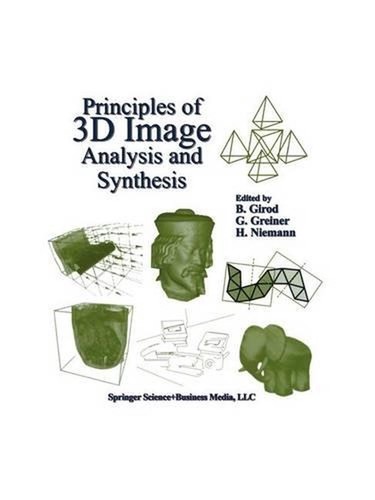 Principles of 3D Image Analysis and Synthesis by Bernd Girod (English ...