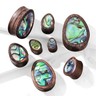 Pair Handcrafted ABALONE SHELL Sono Wood Square Double Flared Ear Plugs ...