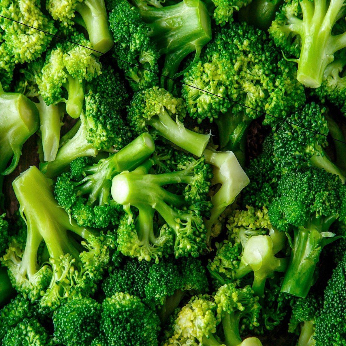 Plantas Vegetales Organicas