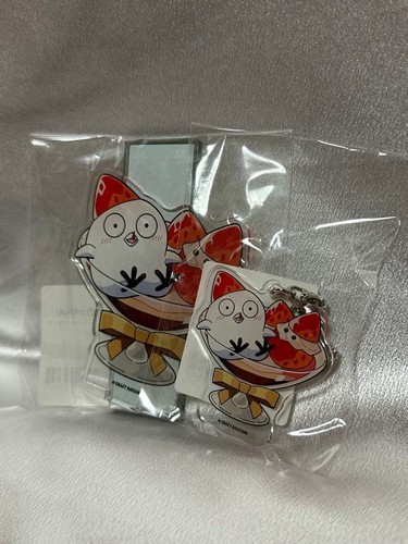 CrazyRaccoon DMM Scratch Vol. 5 Obo Set - Acrylic Stand & Keychain Set ...