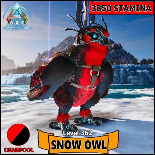 Ark Survival Ascended PC/PS5/XBOX PVE Deadpool 🔴 SNOW OWL ⚫ Level 362 ...