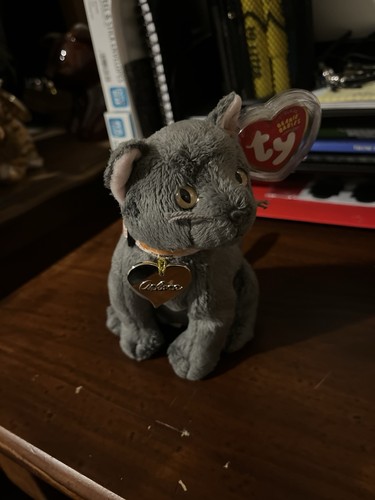 TY Beanie Baby - ARLENE the Cat ( Garfield Movie Beanie ) (6.5 inch) | eBay