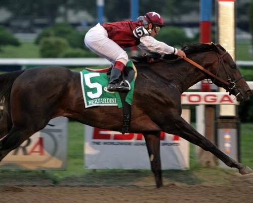 BERNARDINI 8X10 PHOTO HORSE RACING PICTURE RACE ACTION | eBay