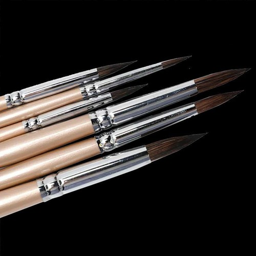 6pcs Round Point Watercolor Paint Brush Beginner Painting Set Canvas ...