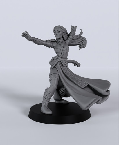 Titan Forge Miniature Female Spellblade Mage Dungeons and Dragons Mini ...