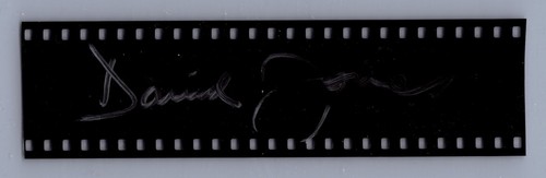 Davy Jones Authentic Autographed Signed The Monkees 1.5 by 5 Inch Film ...