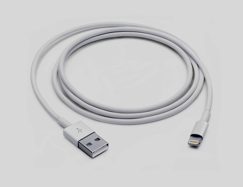 Genuine Apple OEM Lighting-USB Cable 1M OEM Fully tested (Used) | eBay