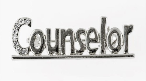 COUNSELOR Rhinestone Pin for Counselors, Therapists-SILVERTONE- 1 1/4 ...