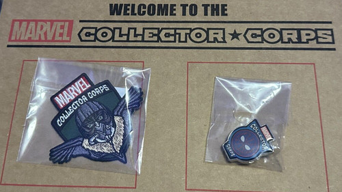 Marvel Collector Corps (MCC) Spider-man: Homecoming Patch and Pin set ...
