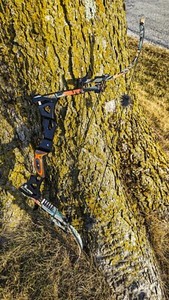 Oneida Eagle Archery Compound Bows for sale | eBay