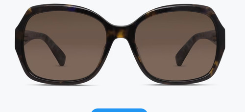Kate Spade Darilynn Women's Butterfly Sunglasses w/ Gradient Lens | eBay