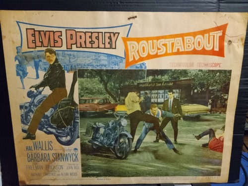Lobby Card 1964 ROUSTABOUT Elvis Presley motorcycle fights college boys ...