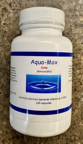 FOR FISH Aquariums & FISH Tanks Fix AMoxil 500mg/100 CT capsules | eBay