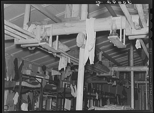 Photo:Bunkhouse at logging camp near Effie, Minnesota | eBay