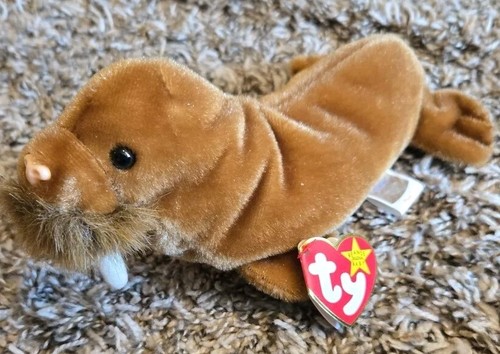 Ty Beanie Babies Paul The Walrus w/Tags | eBay